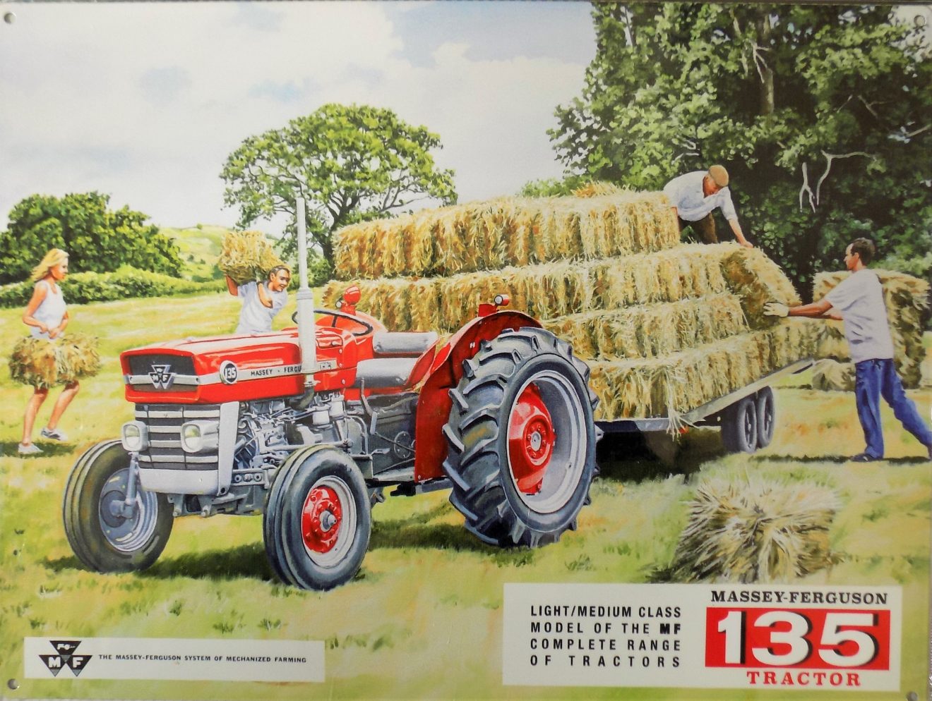 plaque métal tracteur MASSEY FERGUSON 135